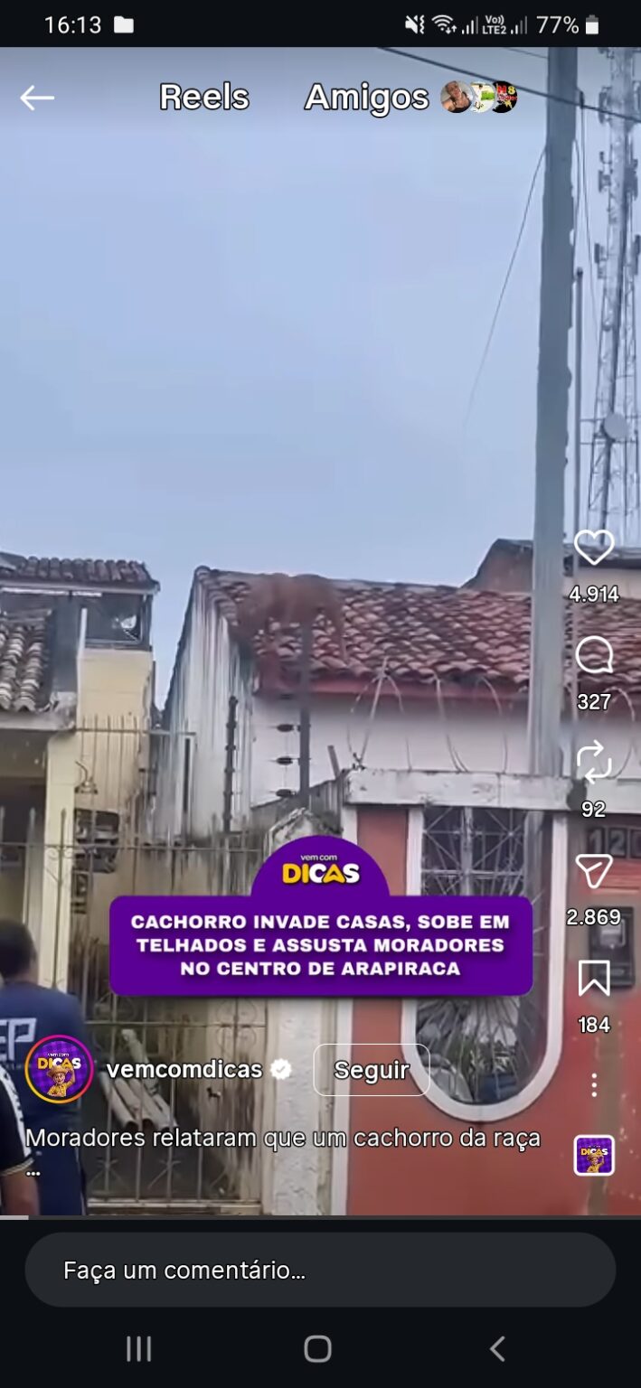Prefeitura de Igreja Nova divulga programação do Carnaval 2026 – Jornal ...